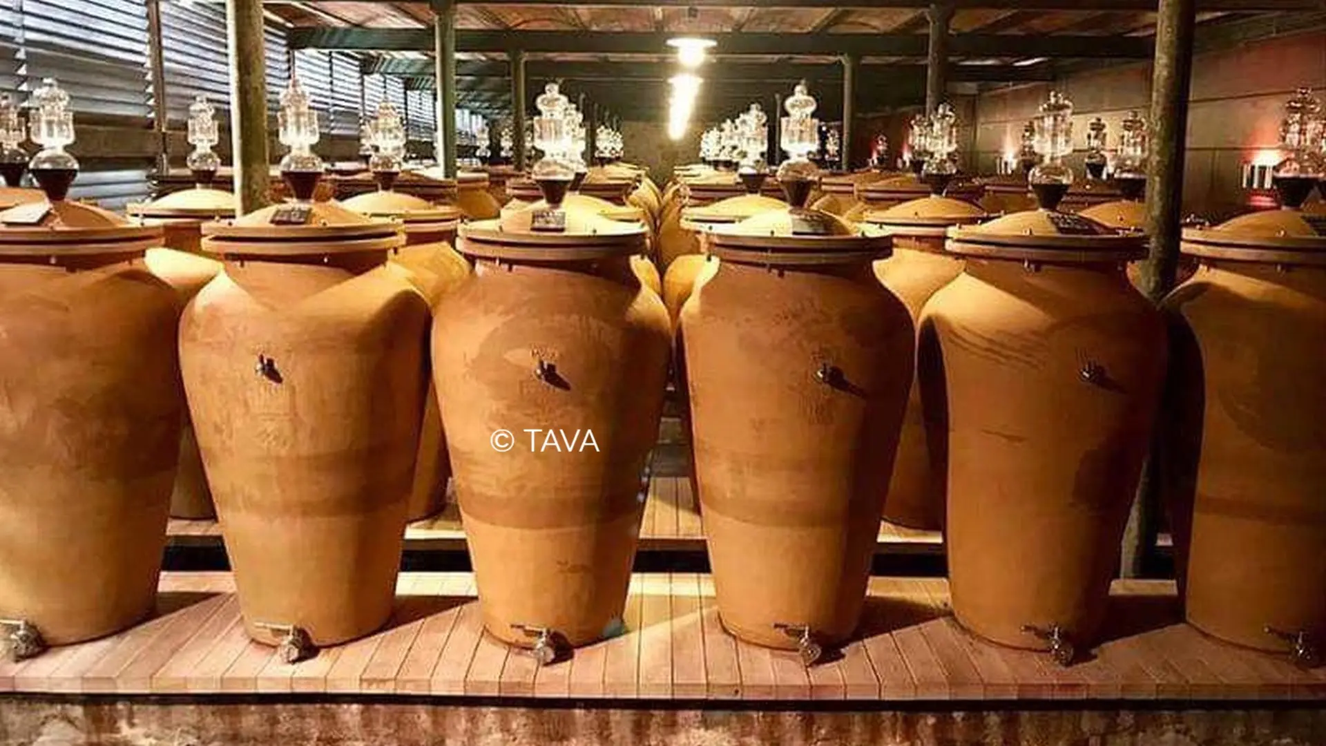 Viaggio nel mondo dell’anfora: Trentino-Alto Adige terza parte ...